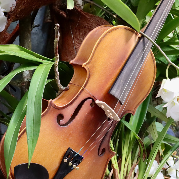 Engadine Music Store Sydney Australia - Instruments, Lessons & Repairs